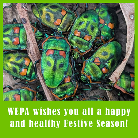 WEPA wishes you all a happy and safe holiday season – WEPA